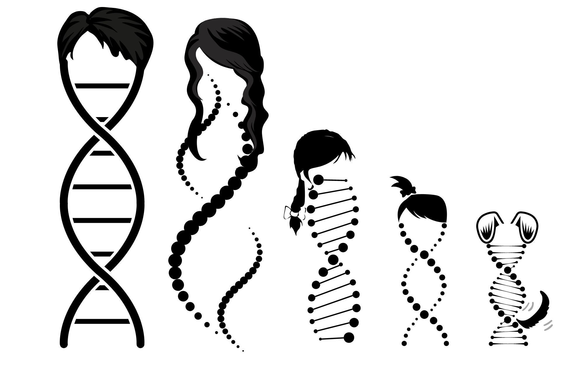 DNA Style LGBTQ Family Decal for Car - Etsy