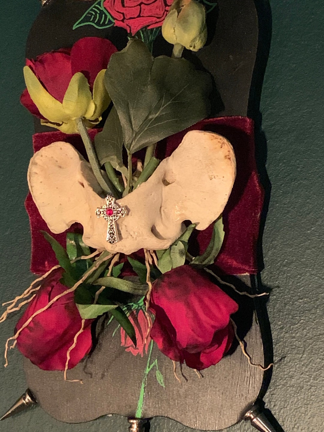 Life & Death Natural Bone Pelvis Mount - Etsy