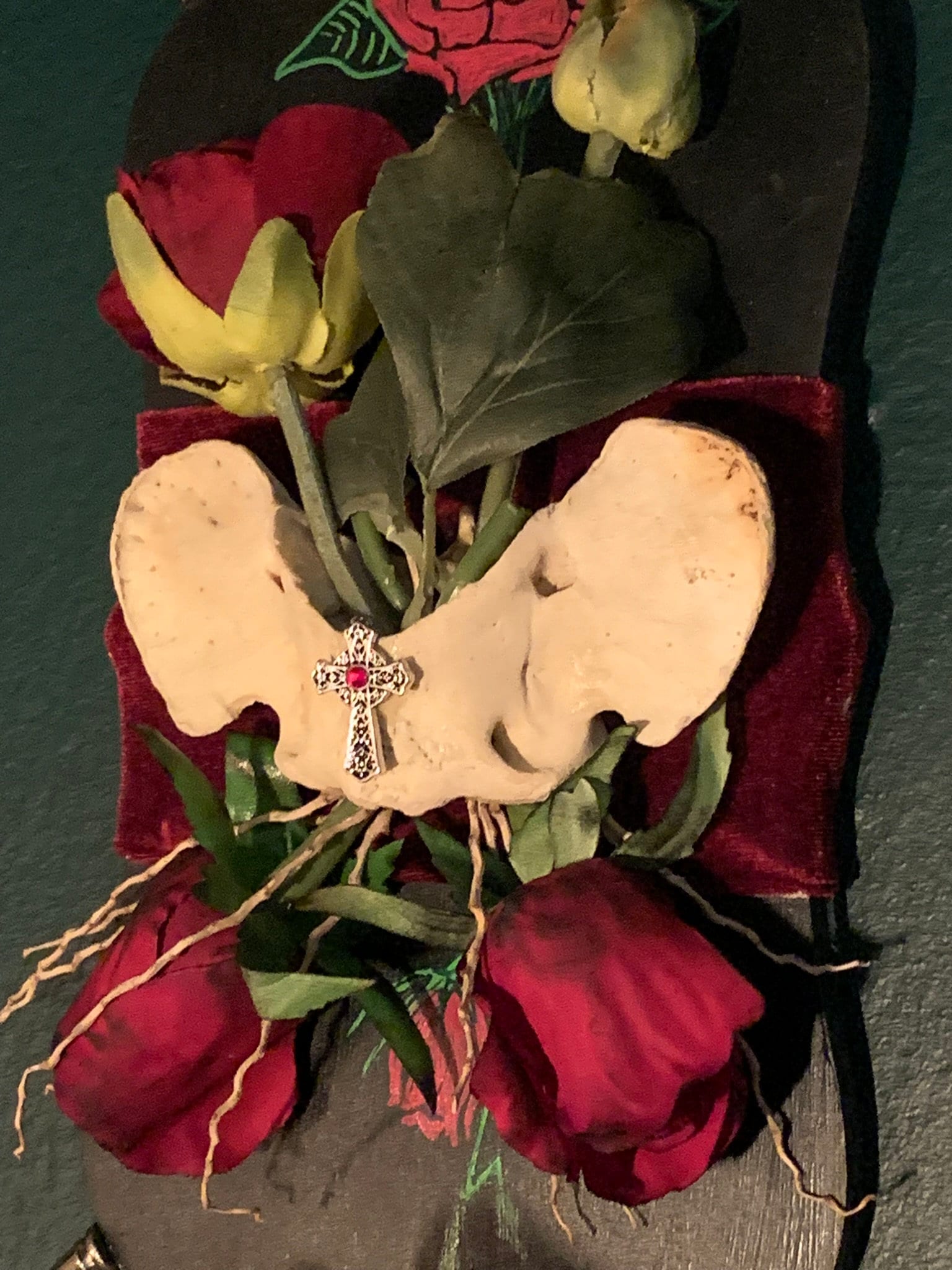 Life & Death Natural Bone Pelvis Mount - Etsy
