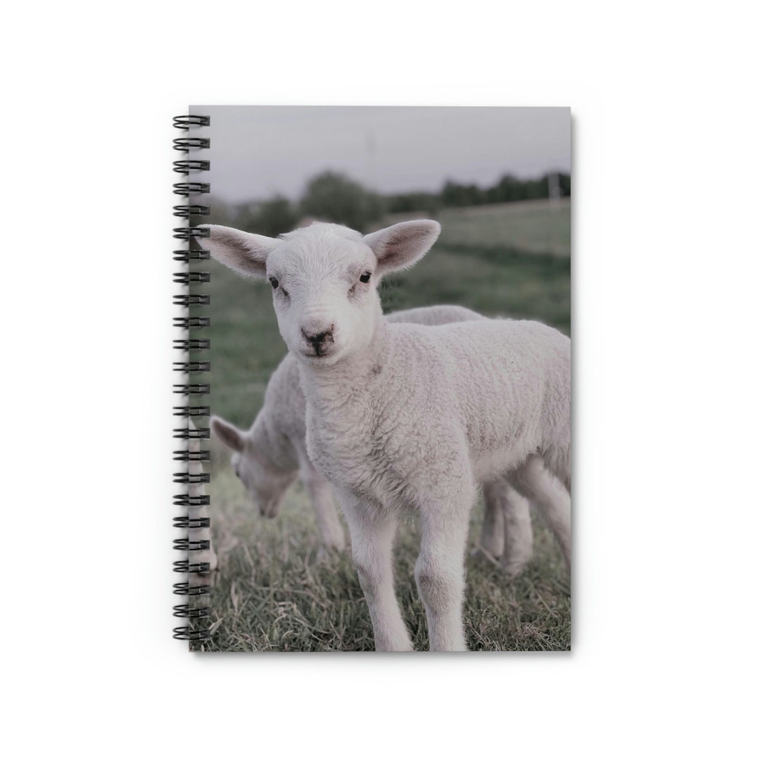 Lamb Journal, Farmhouse, Farm, Hobby Farm, Sheep, Lambs Spiral Notebook ...