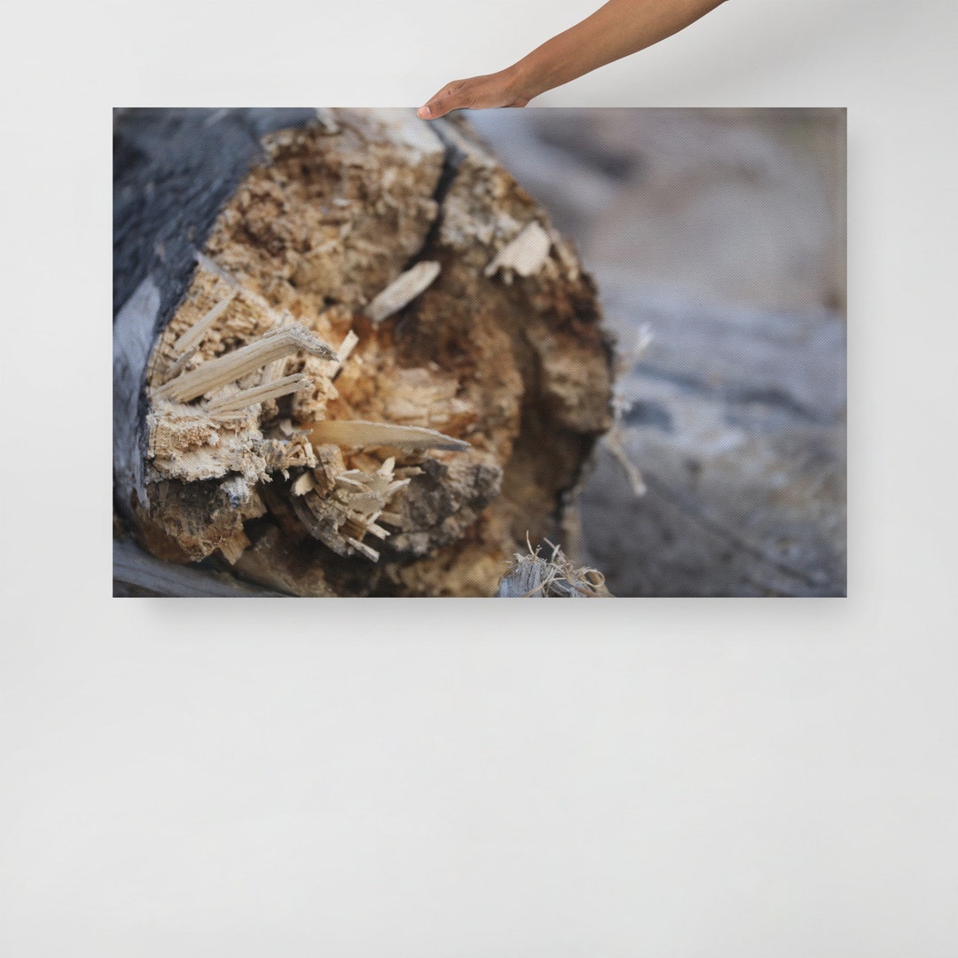 Log Accents, Logging Art, Office Decor, Wood Decor, Wood Accents canvas ...