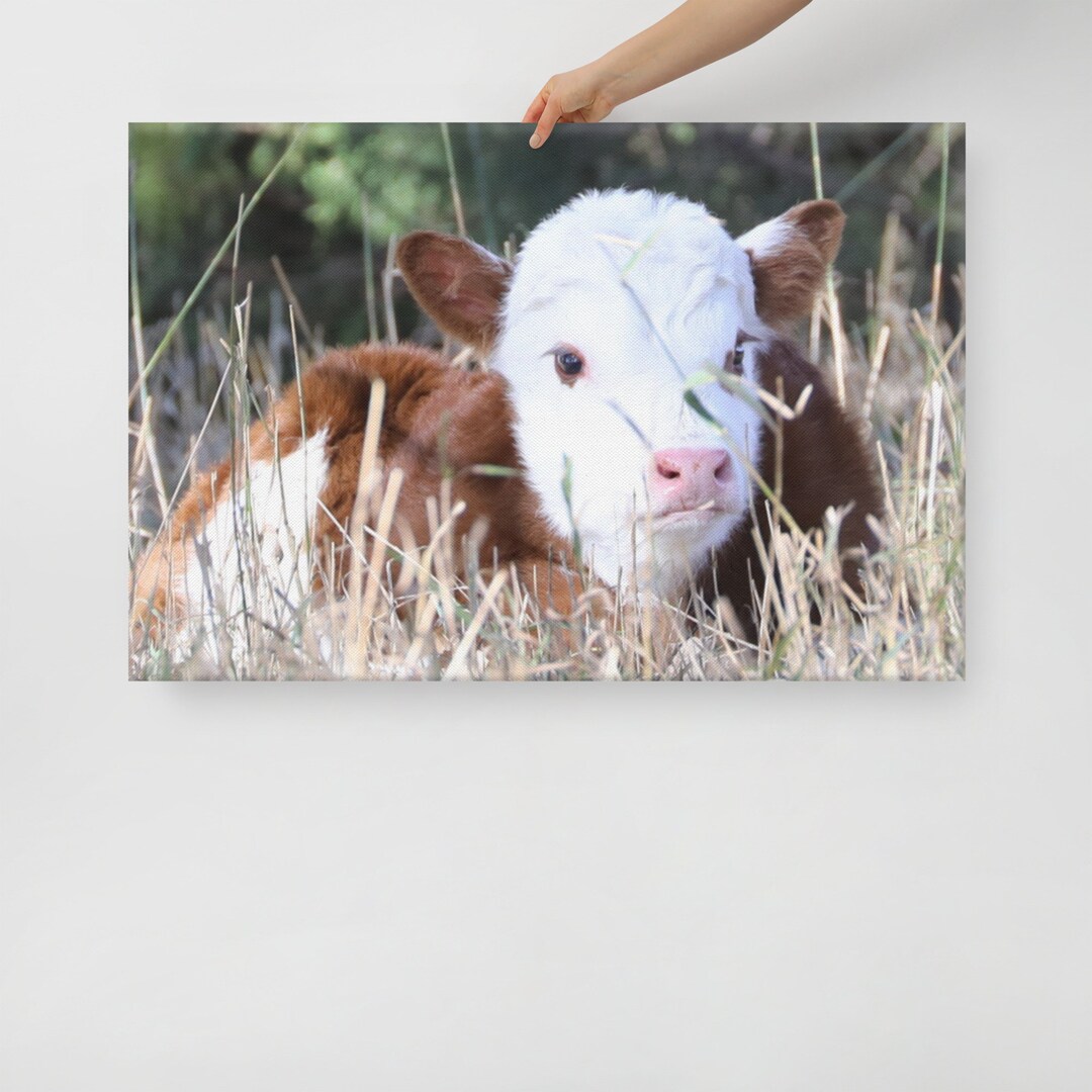 Christopher the Mini Moo, Fluffy Cow, Farmhouse Home Decor, Rustic Home ...