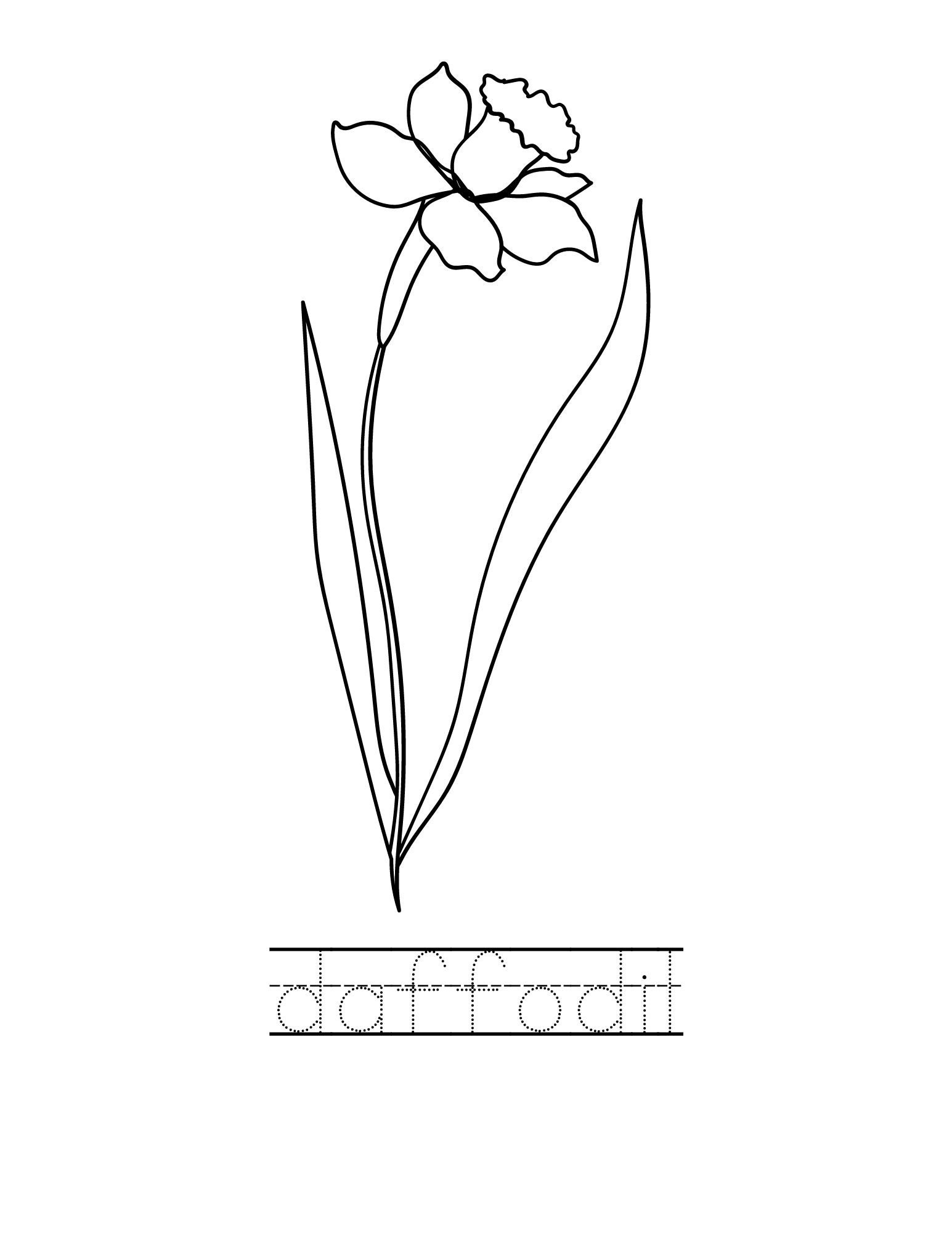Printable Fun Coloring and Learning Book, Floral Designs With Word ...