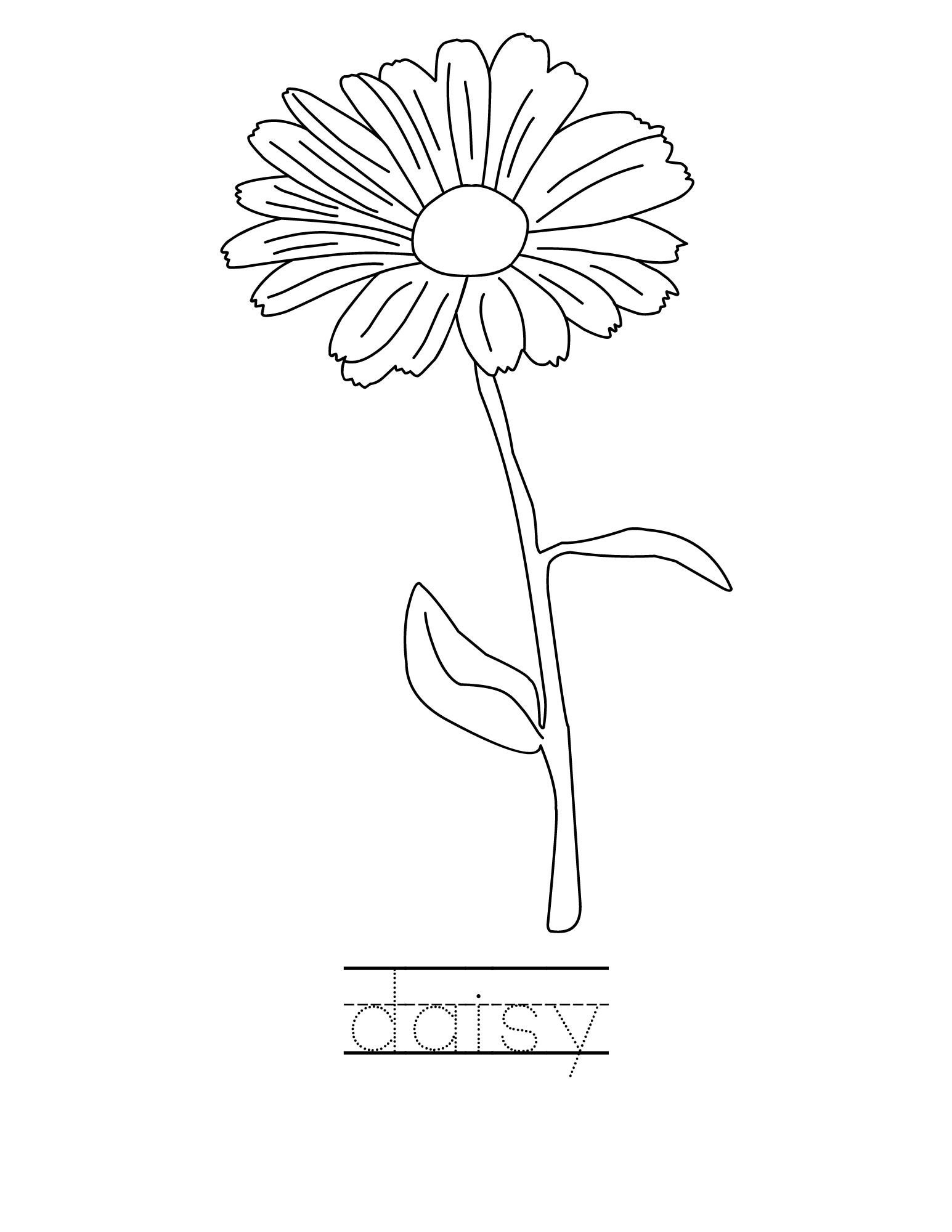Printable Fun Coloring and Learning Book, Floral Designs With Word ...