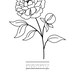 Printable Fun Coloring and Learning Book, Floral Designs With Word ...