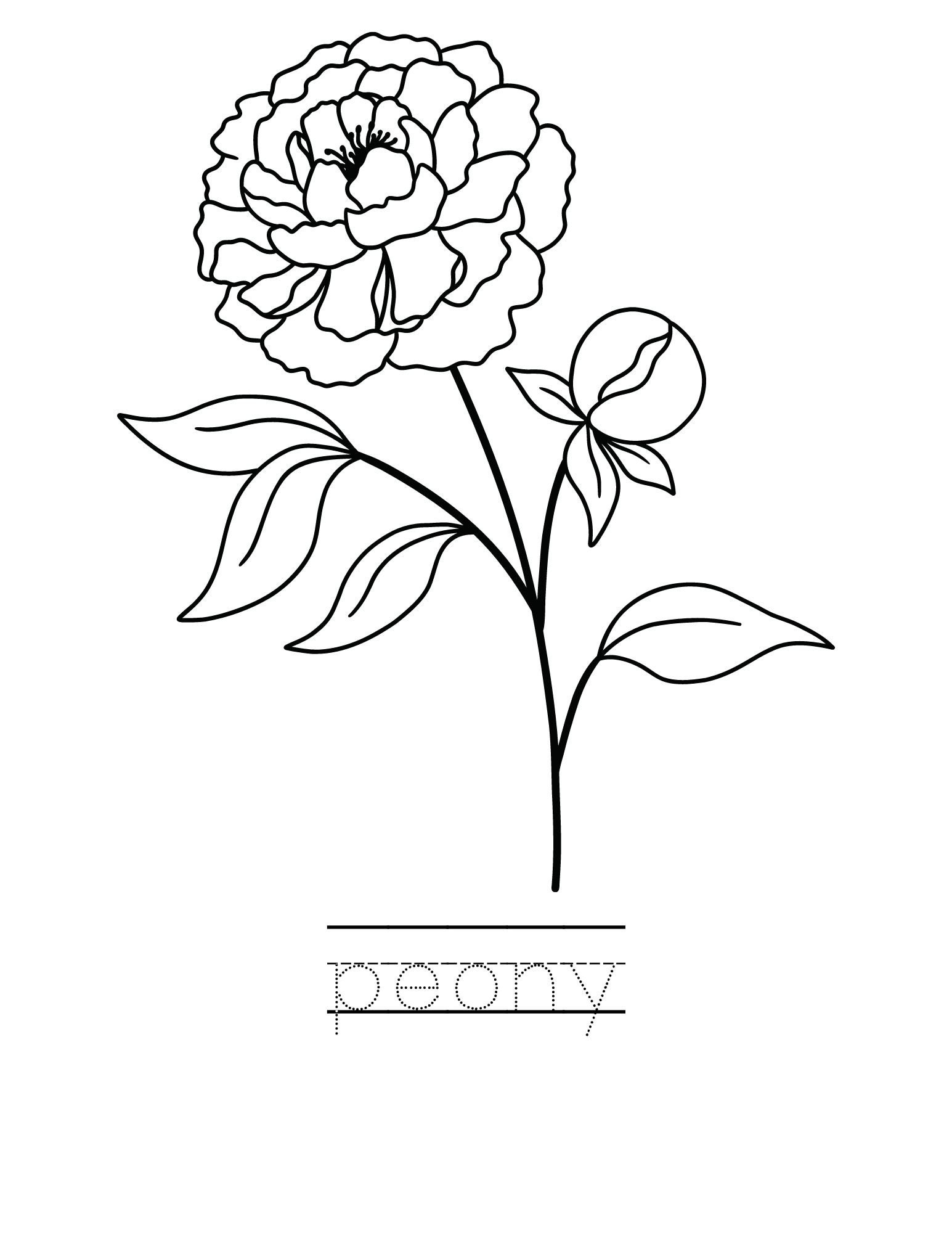 Printable Fun Coloring and Learning Book, Floral Designs With Word ...