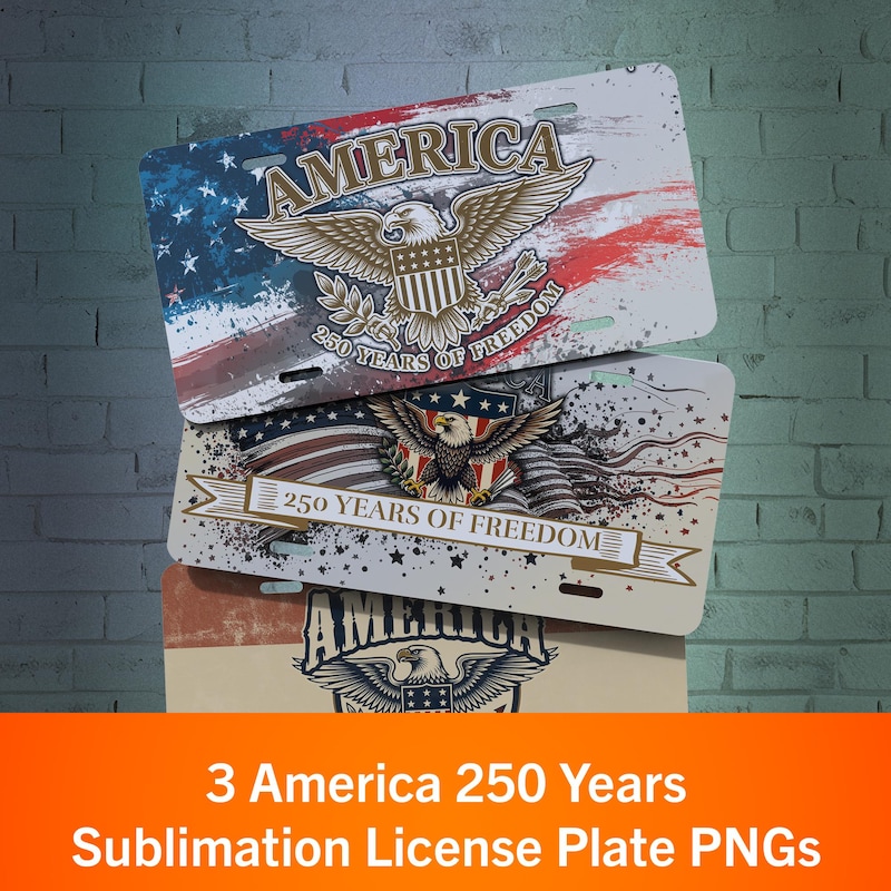 America 250 Plate - Etsy