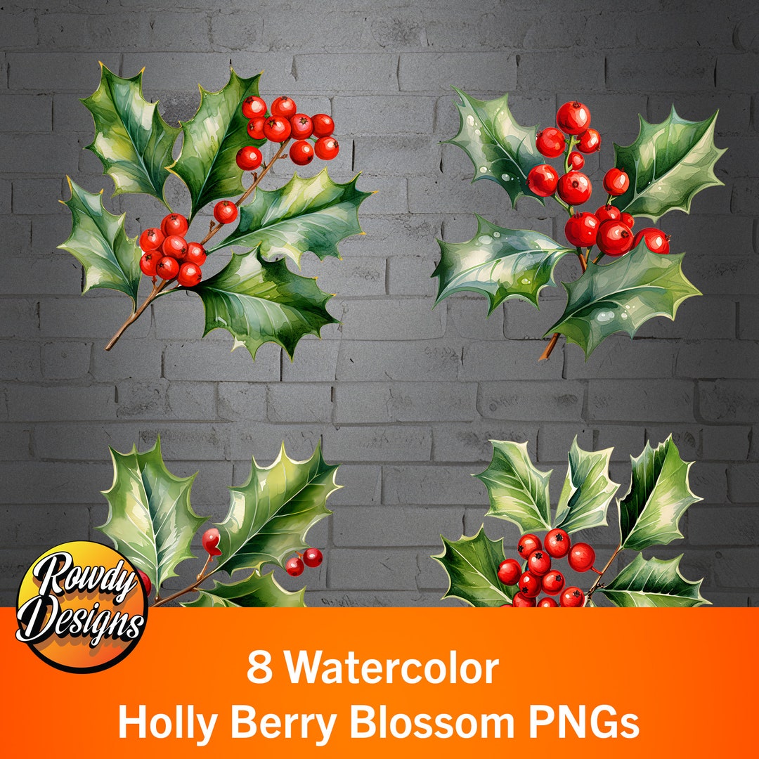 Holly Berry Blossom Watercolor Clipart, Watercolor Holly Berries ...