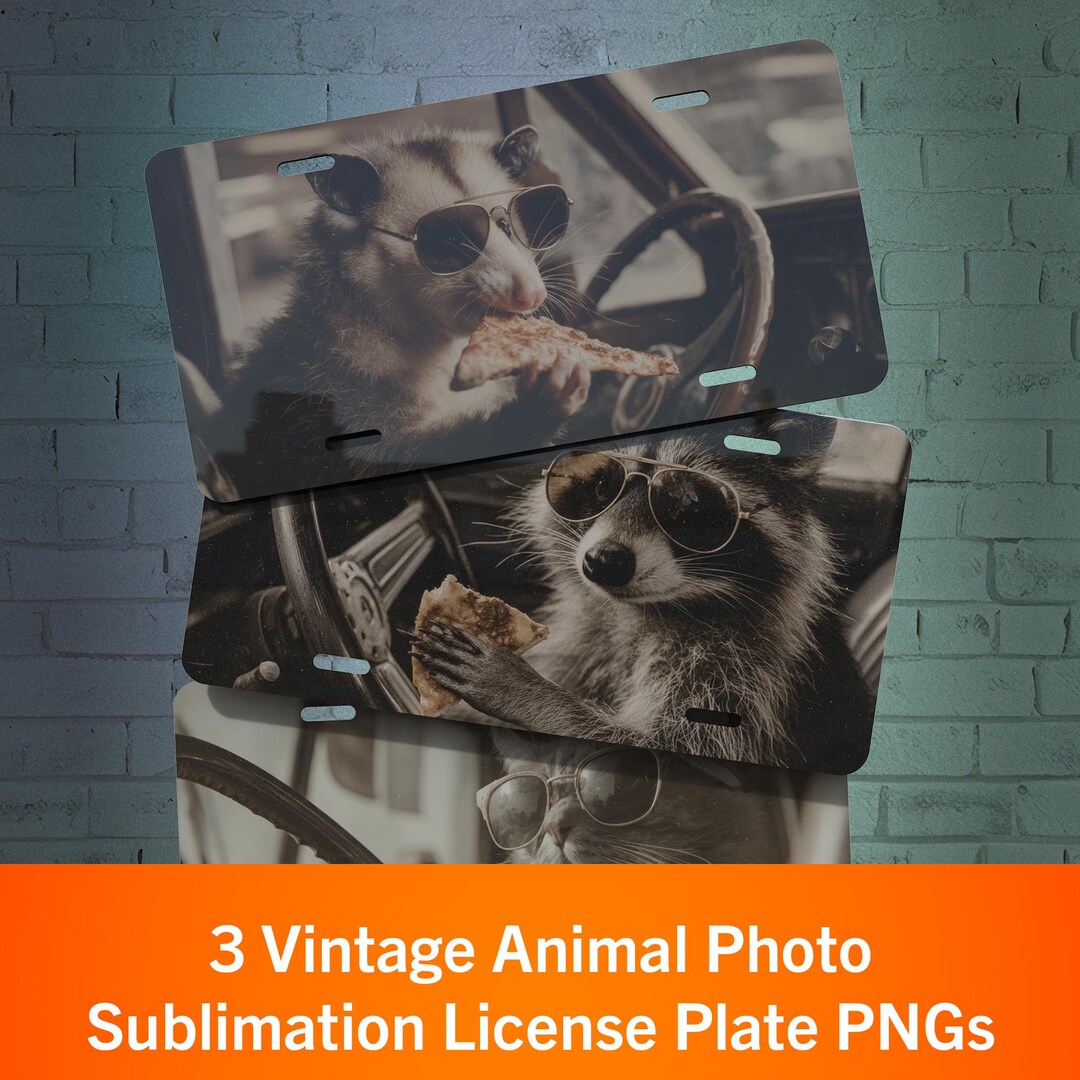 Vintage Animal Photo Sublimation License Plate Designs: 3 PNG ...