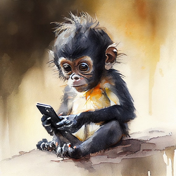 Cute Spider Monkey Pictures