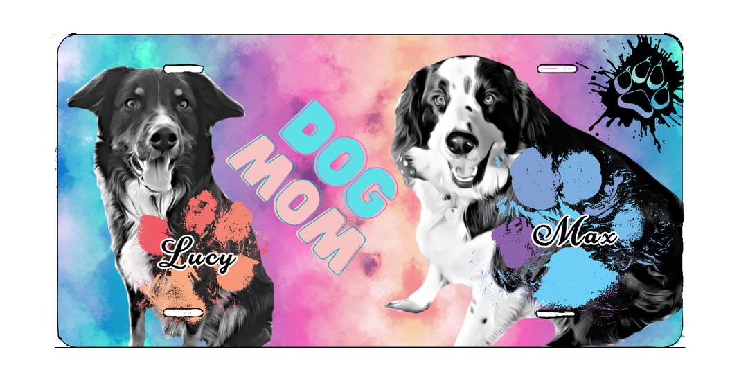Personalized Pet License Plate - Etsy