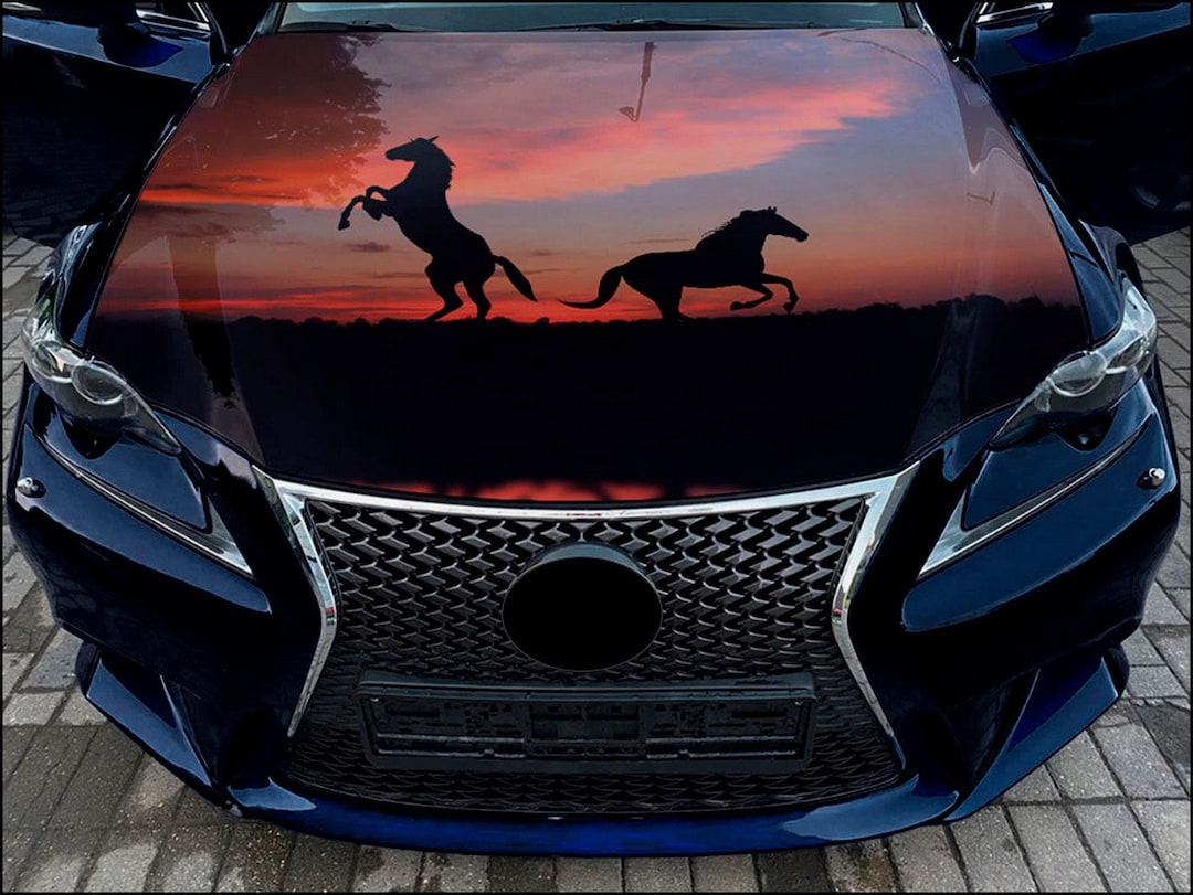 Car Hood Wrap Horses Vinyl Sticker Full Color Custom Decal Fit Any Car ...