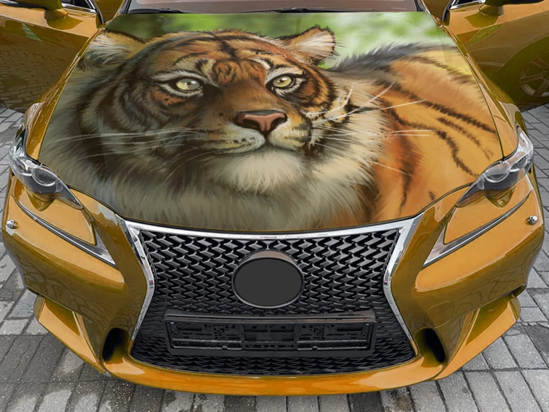 Car Hood Wrap Tiger Art Vinyl Sticker Full Color Predator Wild Cat ...