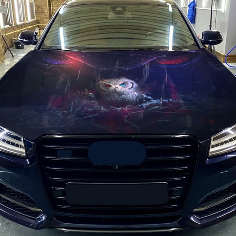 Owl Car Decal - Etsy