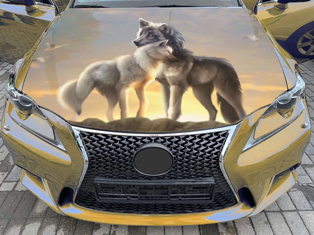 Car Hood Wrap White Wolfs Art Vinyl Sticker Full Color Predator Beast ...