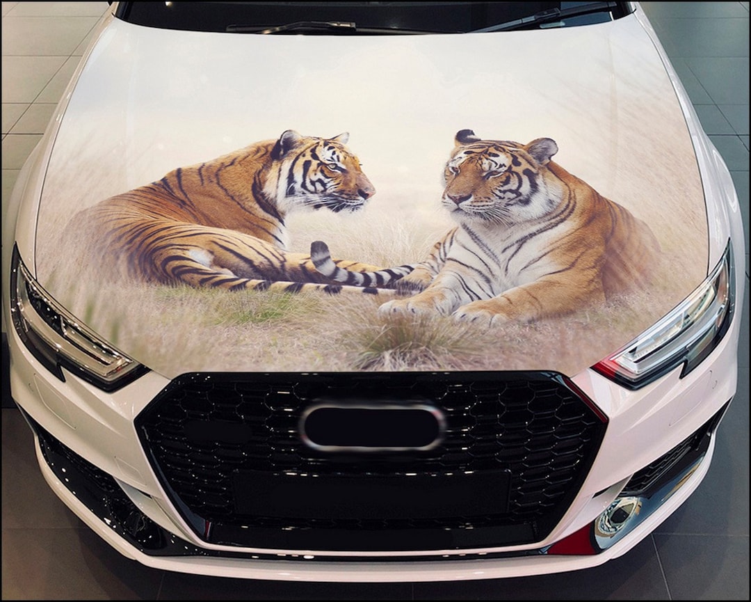 Car Hood Wrap Tiger Vinyl Sticker Full Color Custom Decal #5 Fit Any ...