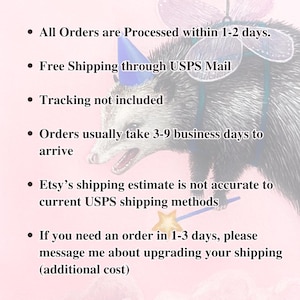 Fairy God Possum Sticker Decal - Original Art by Feral Felicitations - Etsy