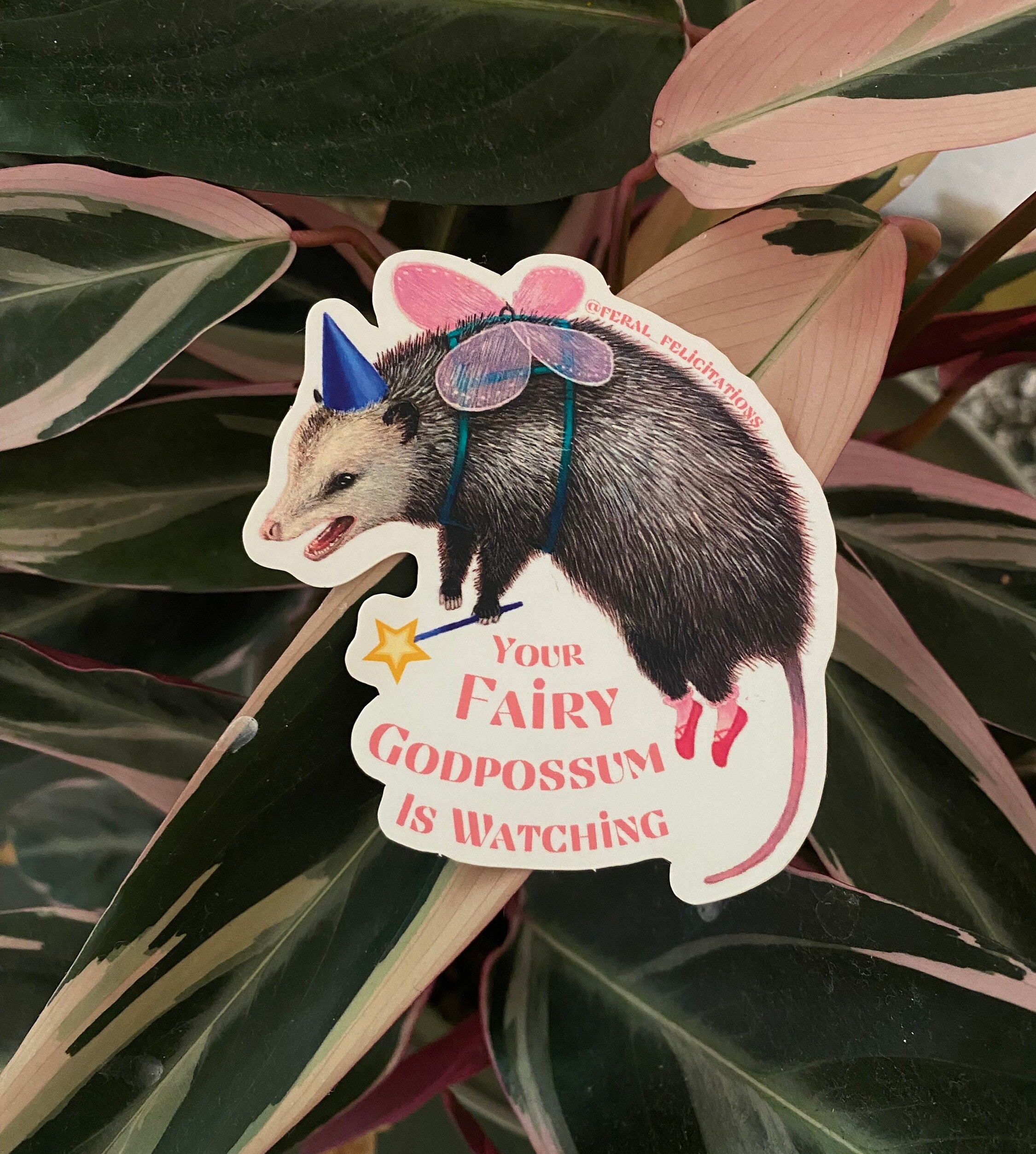 Magical Fairy God Possum Sticker Decal Original Art by Feral - Etsy