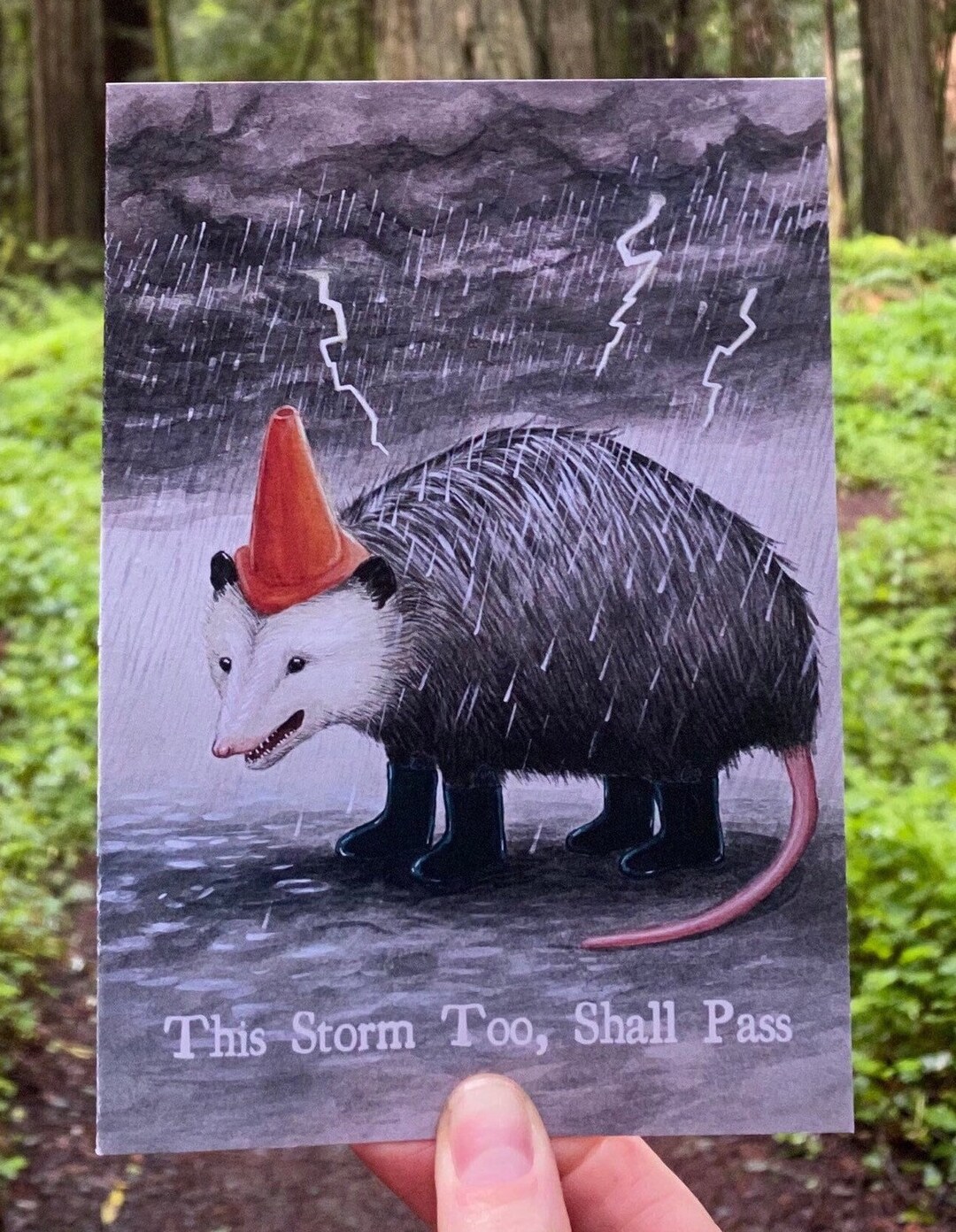 Possum Greeting Sympathy or Get Well Card this Storm Too Shall Pass ...