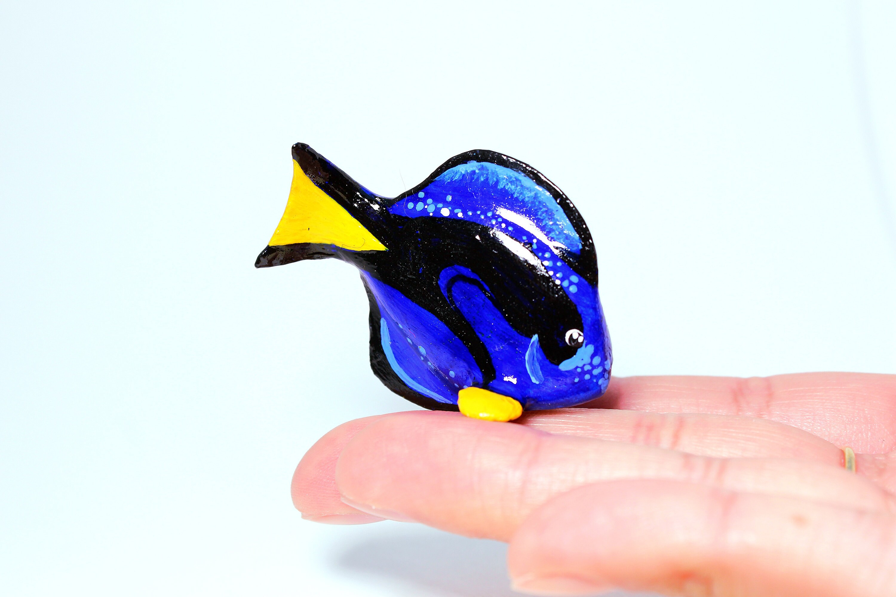 Baby Blue Tang Fish