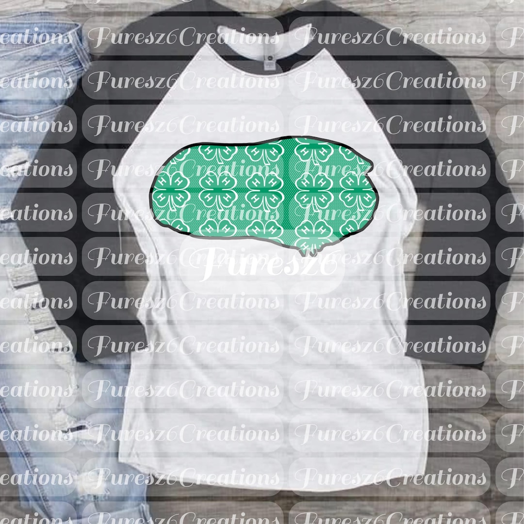 4H American Cavy PNG - Etsy
