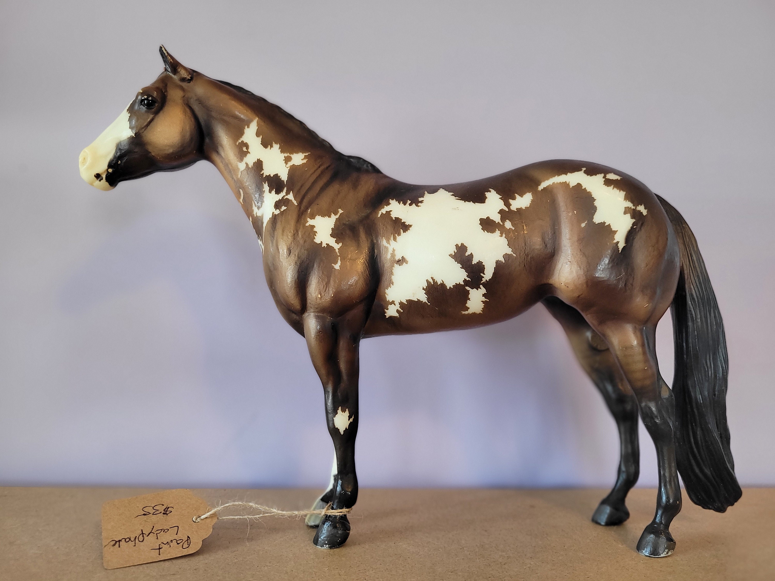 Grullo Paint Horses