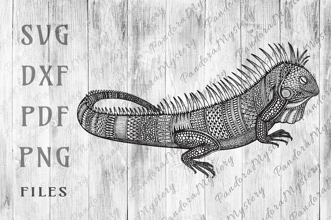 Iguana Zentangle / Zentangle Svg / SVG Files for Cricut / Iguana ...