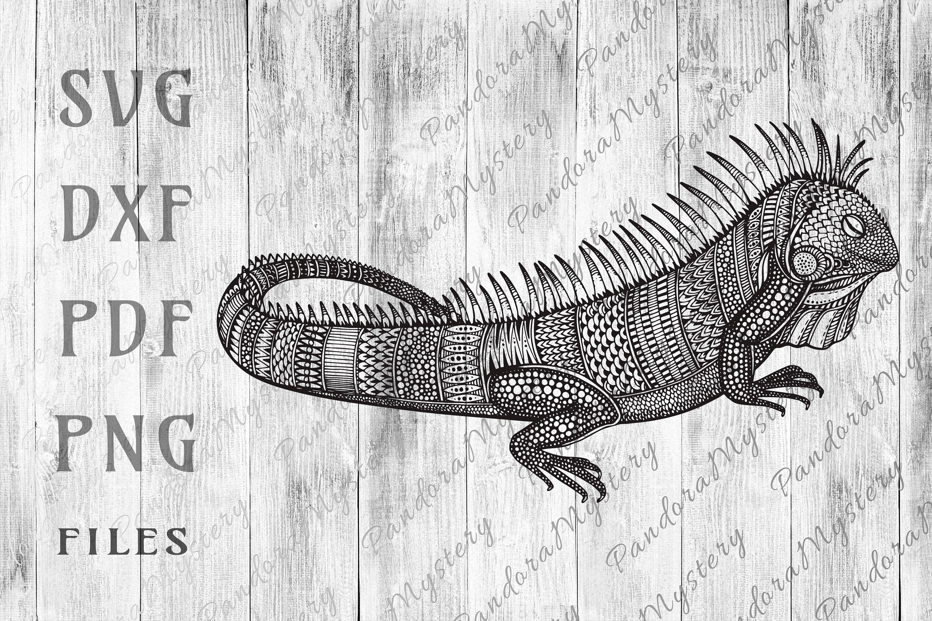 Iguana Zentangle / Zentangle svg / file SVG per Cricut / Iguana ...