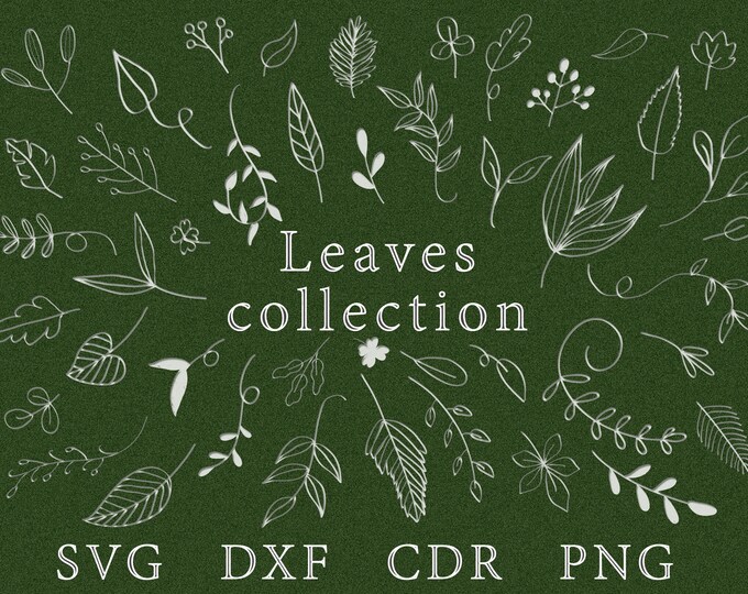 Leaf SVG and PNG Digital Download Leaf Graphic Digital Download Leaf ...