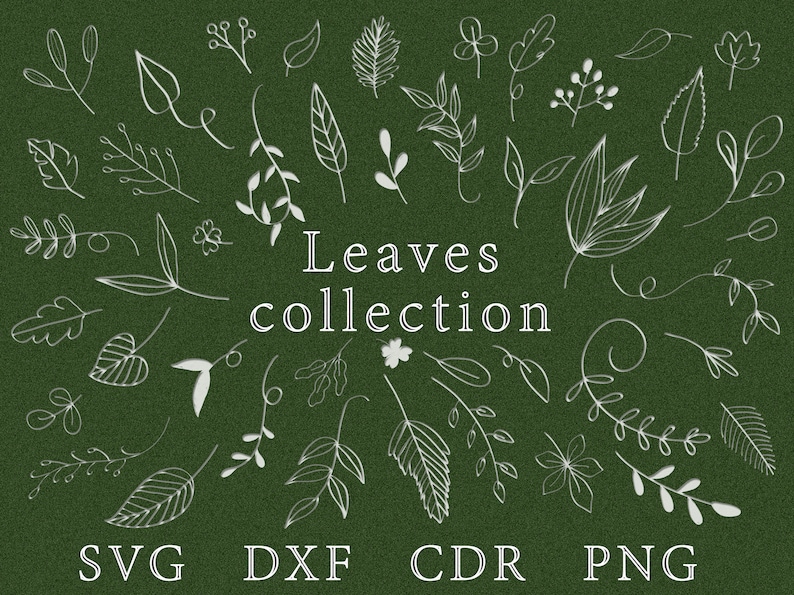 Leaf Set SVG / Leaf Clipart / Leaf Elements Svg / Leaves Collection ...