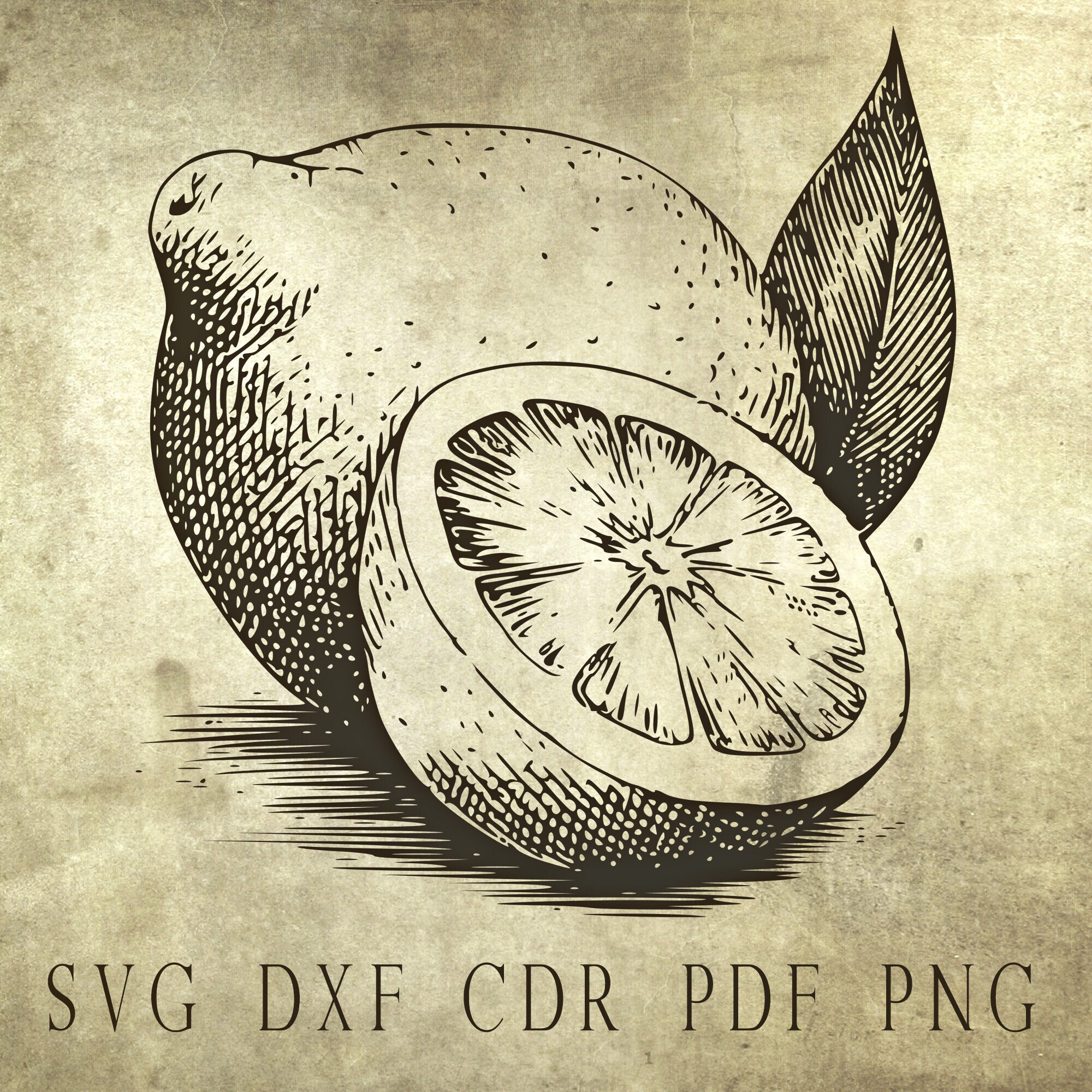 Vintage Lemon Drawing