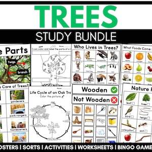 Trees Study Bundle Creative Curriculum Digital Download - Etsy