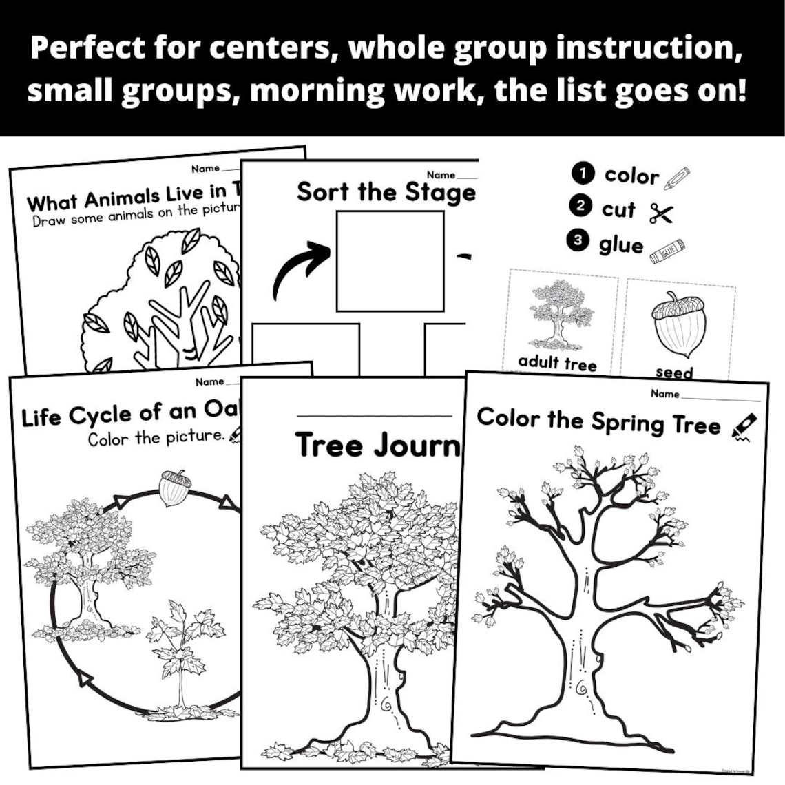 Trees Study Bundle Creative Curriculum - Digital Download - Etsy
