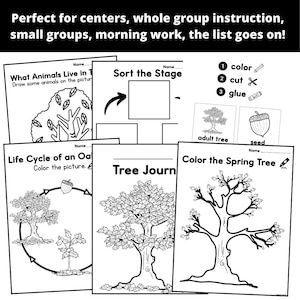 Trees Study Bundle Creative Curriculum - Digital Download - Etsy