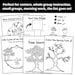 Trees Study Bundle Creative Curriculum - Digital Download - Etsy