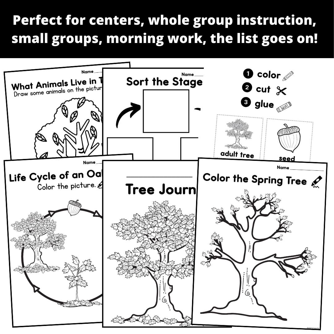 Trees Study Bundle Creative Curriculum - Digital Download - Etsy