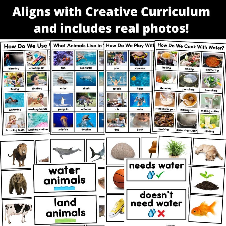 Creative Curriculum Water Study - Etsy