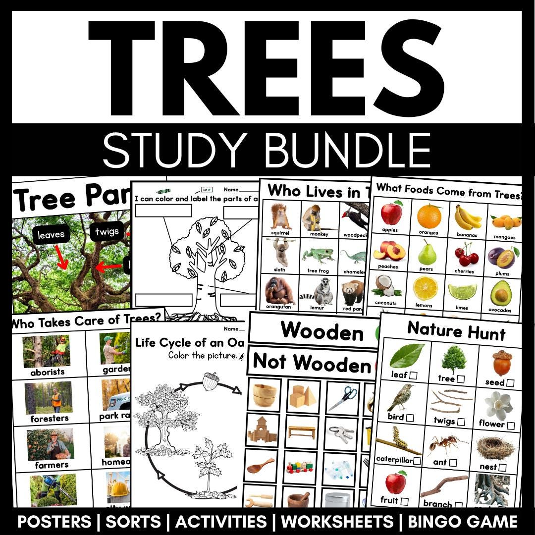 Trees Study Bundle Creative Curriculum - Digital Download - Etsy