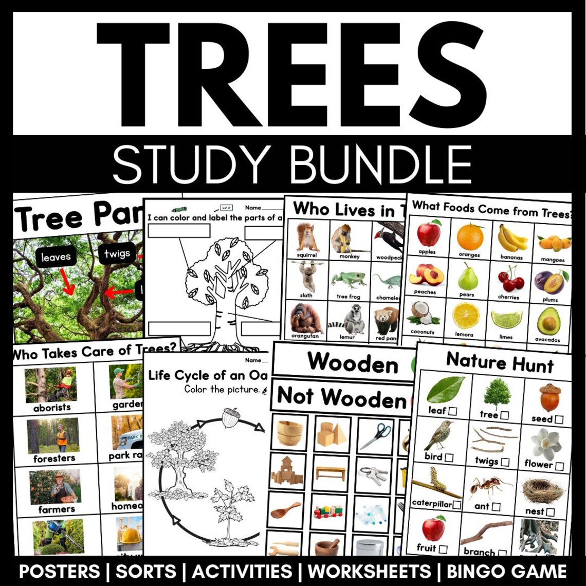 Trees Study Bundle Creative Curriculum - Digital Download - Etsy