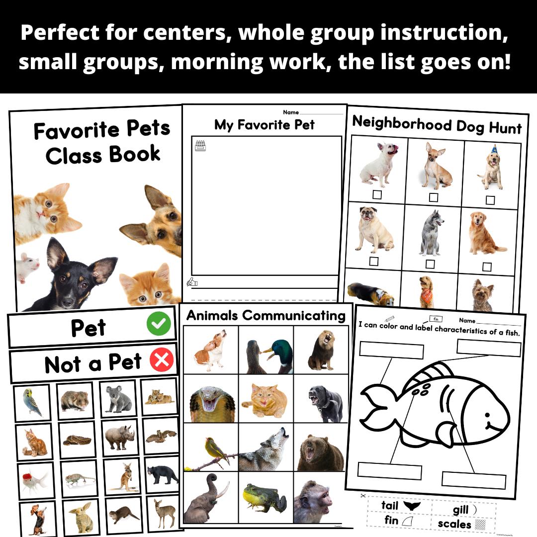 Pets Study Bundle Creative Curriculum - Etsy