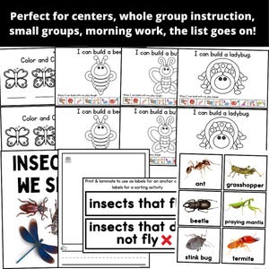 Insects Study Bundle Creative Curriculum - Etsy