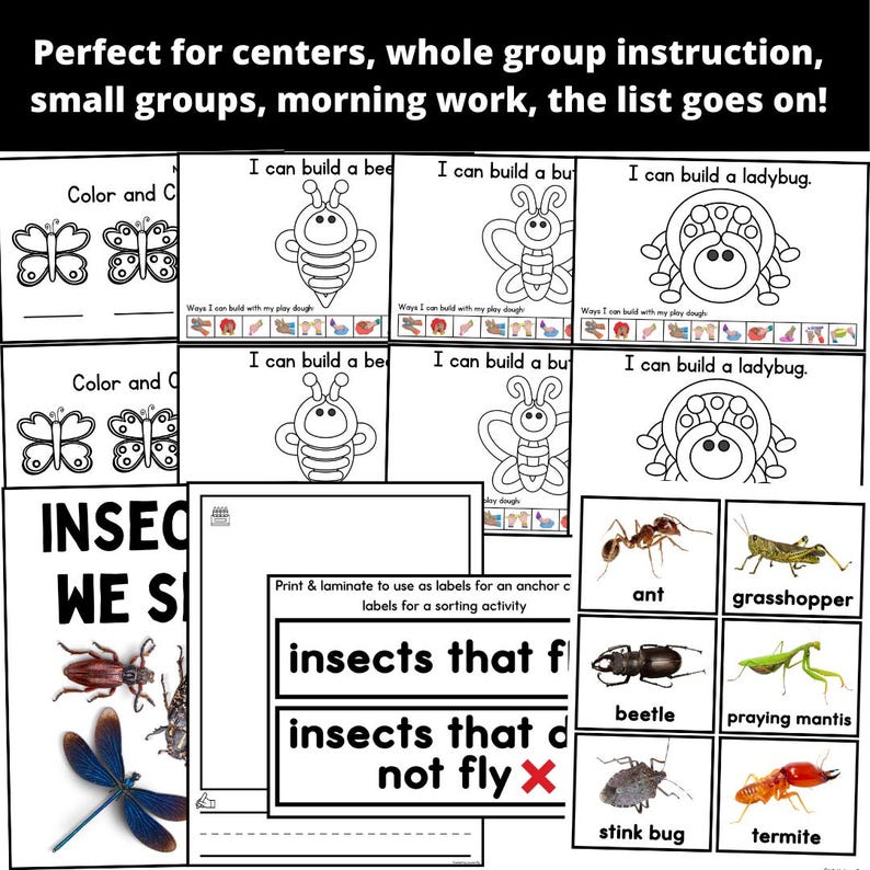Insects Study Bundle Creative Curriculum - Etsy