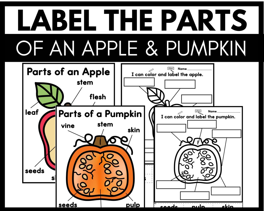 Parts of a Pumpkin and Apple - Preschool Prek & Kindergarten Science ...