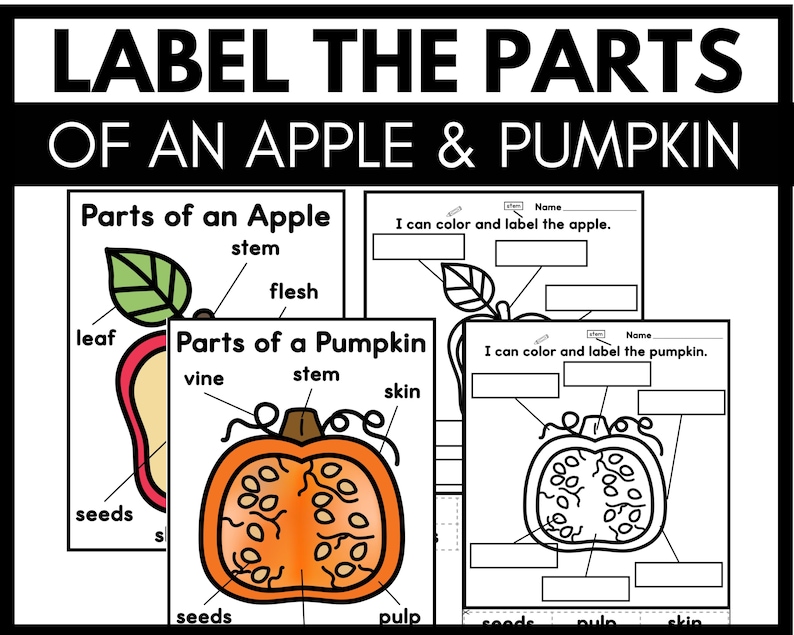 Parts of a Pumpkin and Apple - Preschool Prek & Kindergarten Science ...