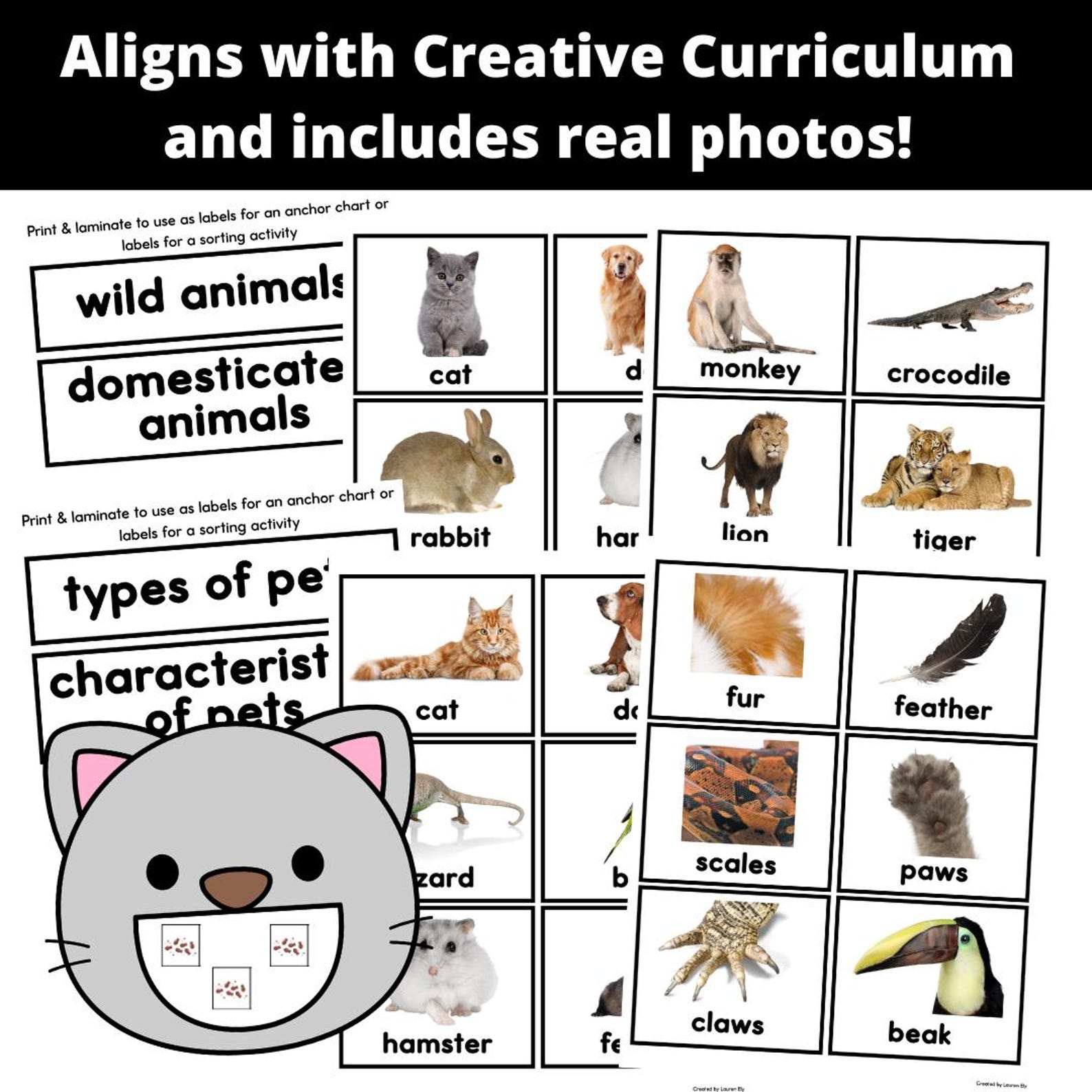 Pets Study Bundle Creative Curriculum - Etsy
