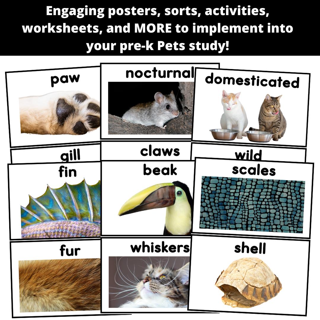 Pets Study Bundle Creative Curriculum - Etsy