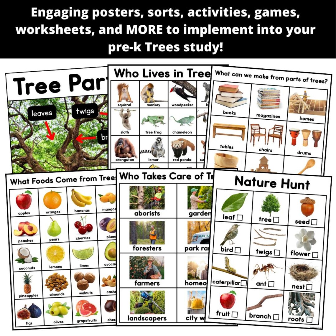 Trees Study Bundle Creative Curriculum - Digital Download - Etsy
