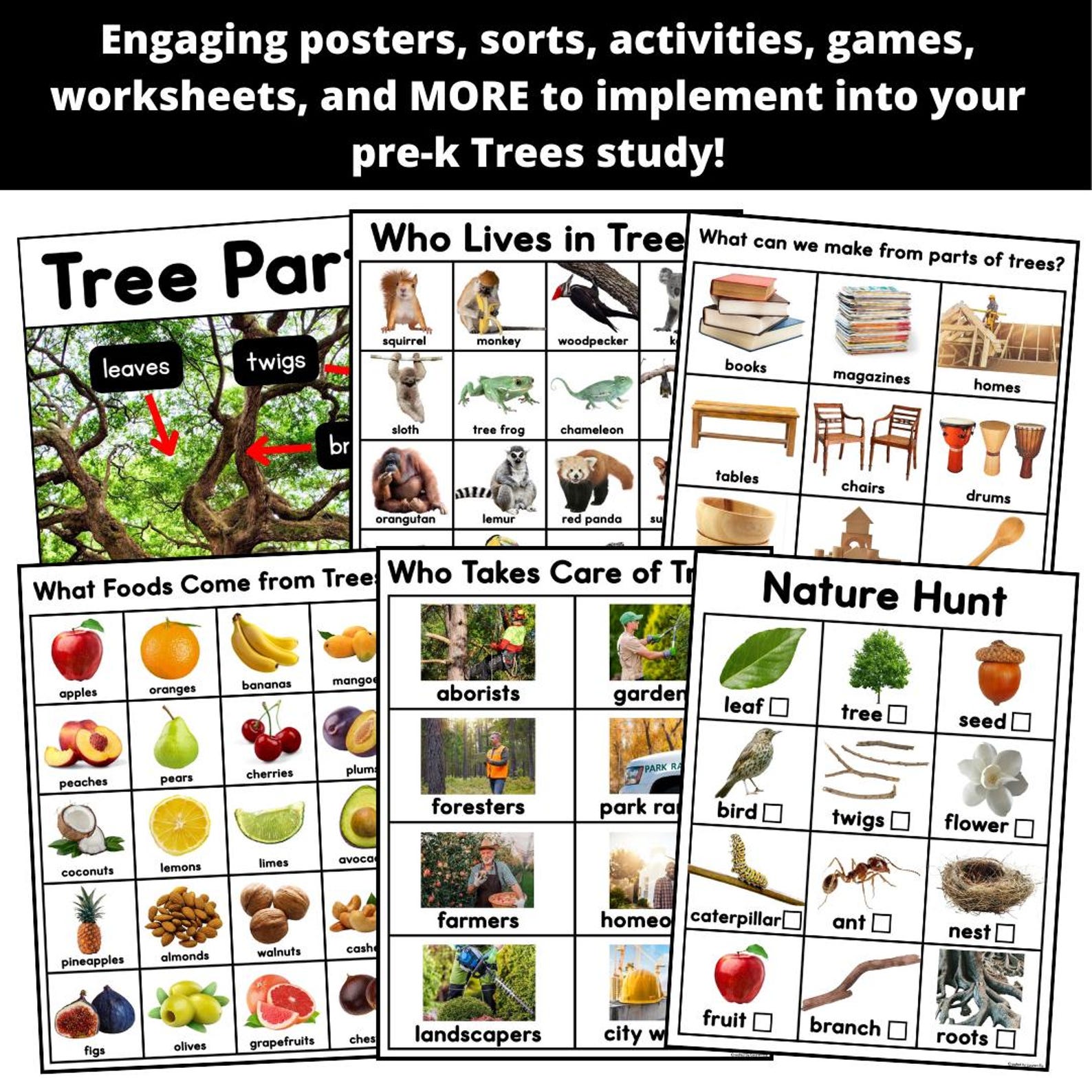 Trees Study Bundle Creative Curriculum - Digital Download - Etsy