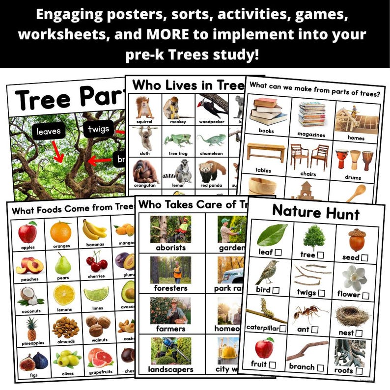 Trees Study Bundle Creative Curriculum - Digital Download - Etsy