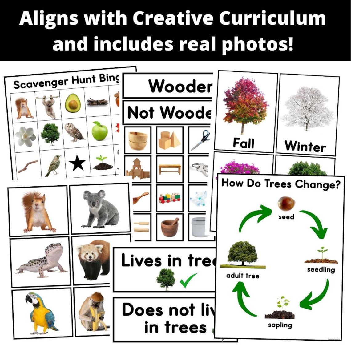 Trees Study Bundle Creative Curriculum - Digital Download - Etsy